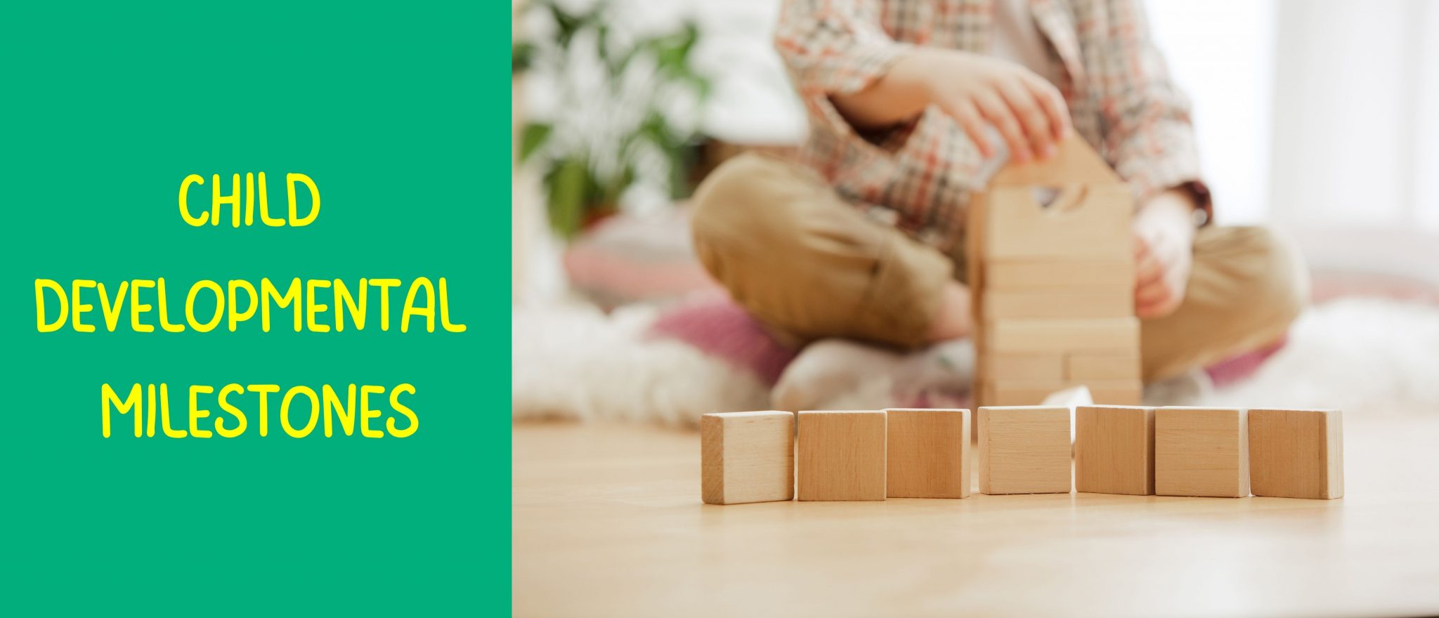 Developmental Milestone Checklist - SBCC